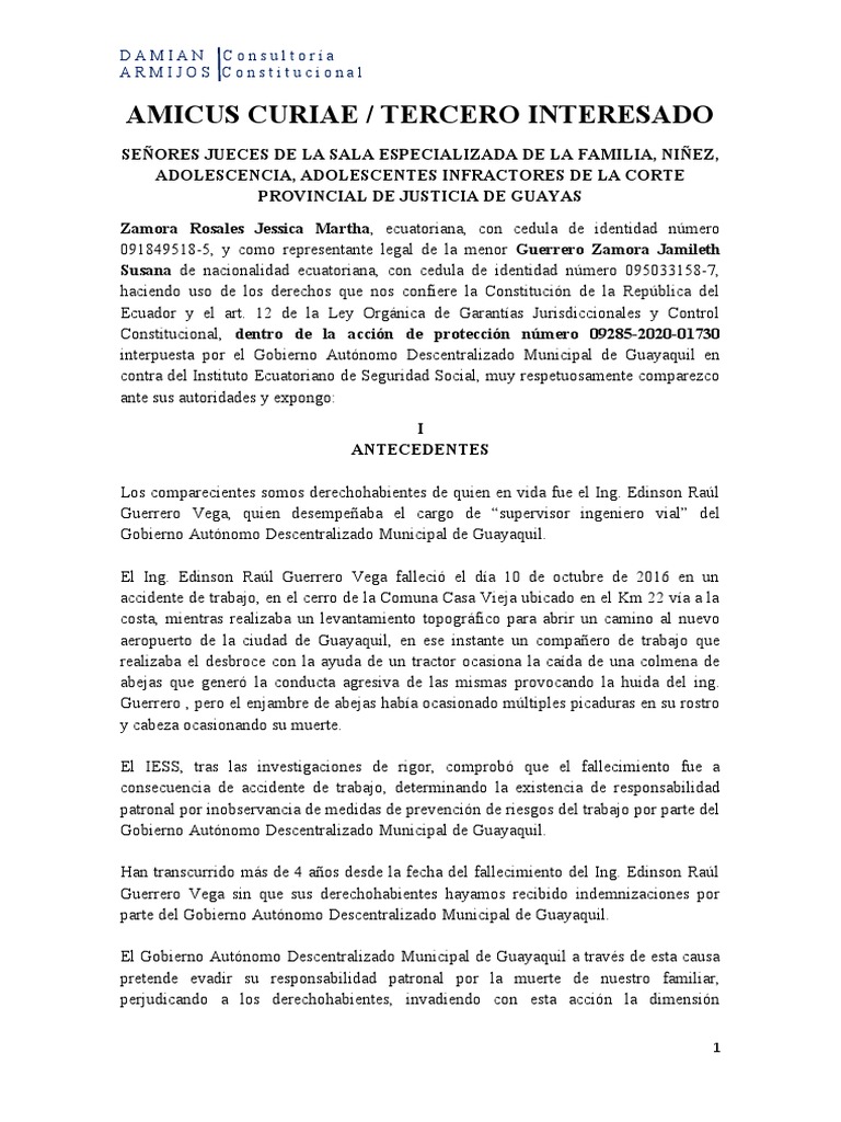 Amicus Curiae | PDF | Ley procesal | Amicus Curiae