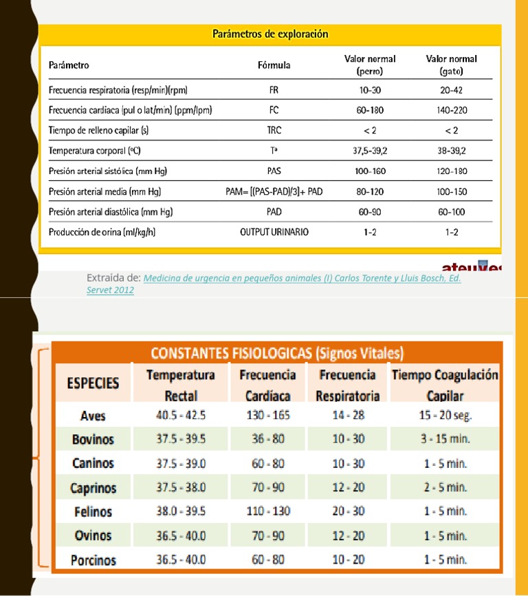 Parametros Fisiologicos en Los-Animales Domesticos | PDF