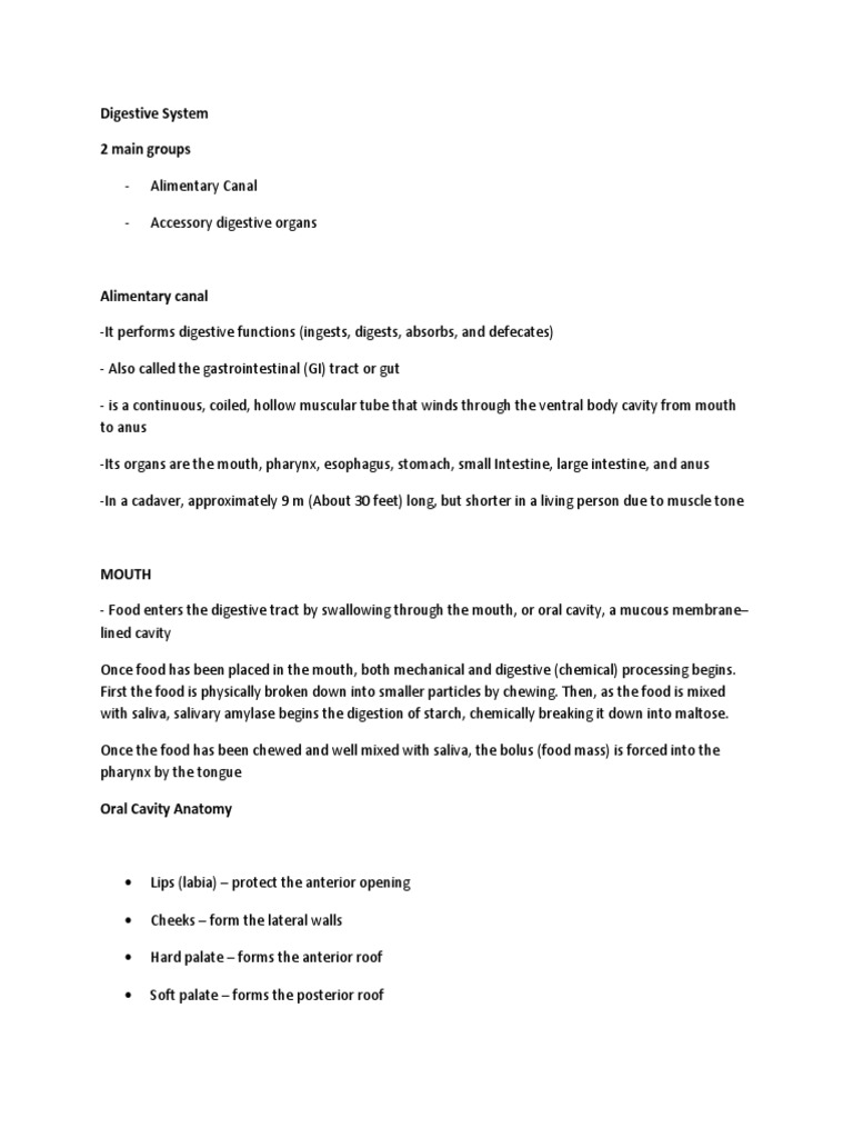 Digestive System - Lecture Guide | Download Free PDF | Stomach | Human ...