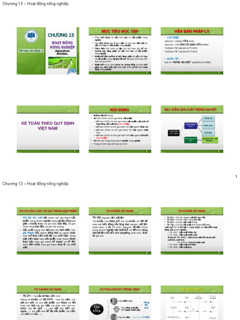 CTTT-C13 Hoat Dong Nong Nghiep | PDF