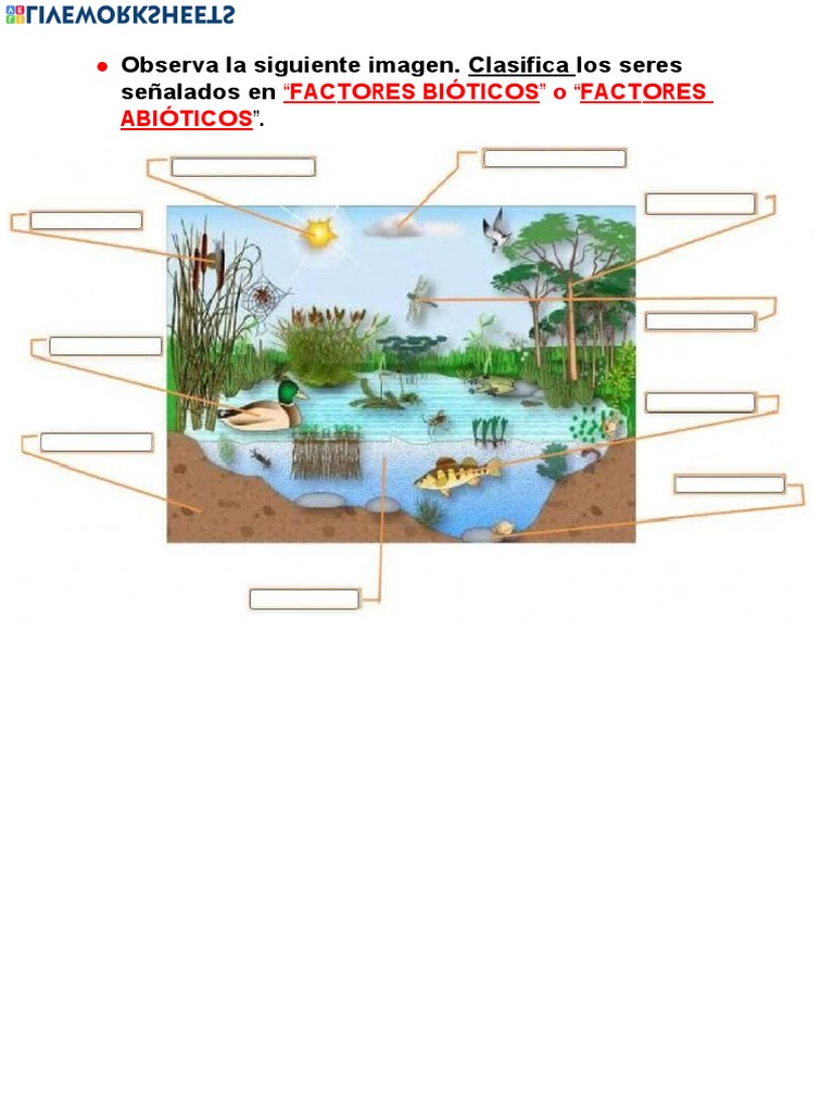 Factores Biótico y Abióticos | PDF
