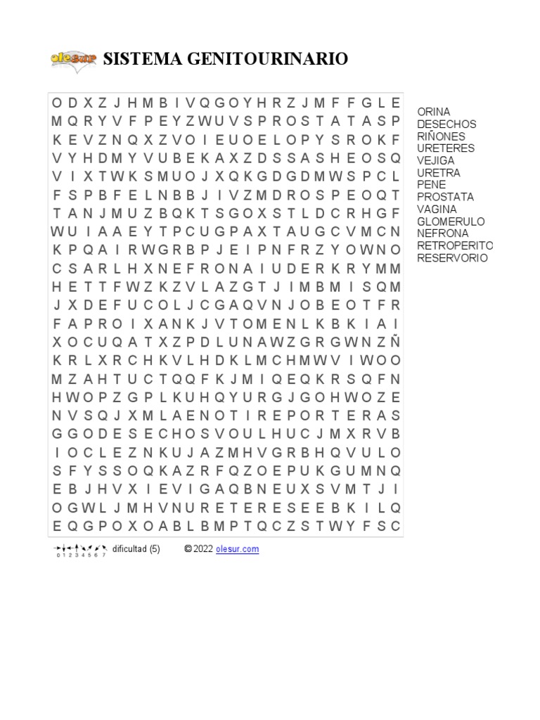 Sopa de Letras 135 | PDF | Sistema urinario | Especialidades Quirúrgicas