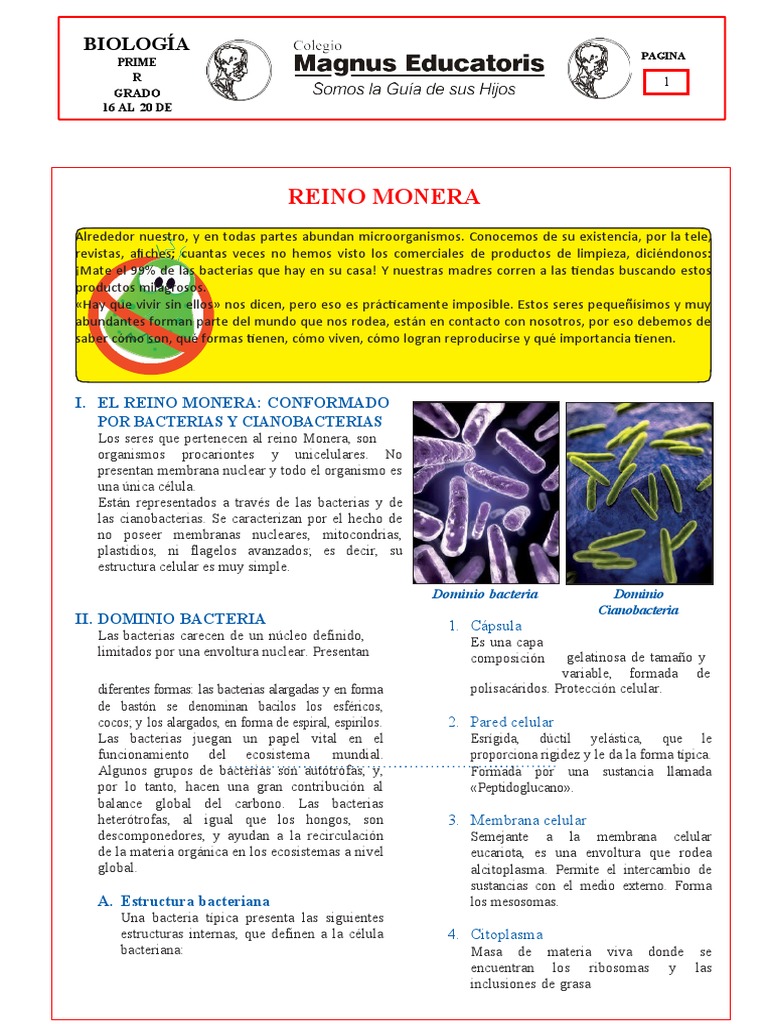 Reino-Monera A | PDF | Las bacterias | Biología Celular)