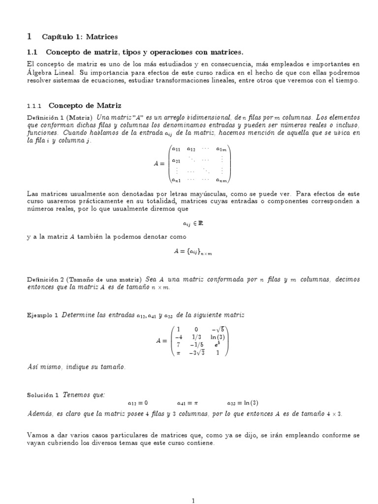 Capítulo 1 - Matrices | PDF | Matriz (Matemáticas) | Ecuaciones