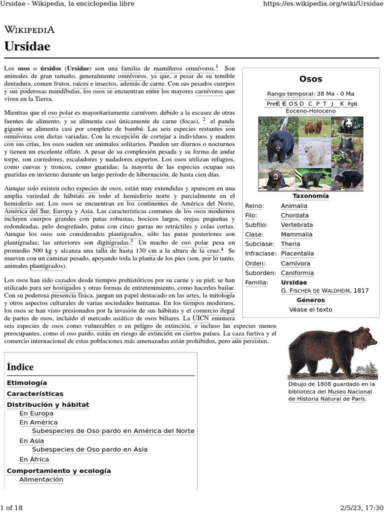 A Osos | PDF | Osos | Depredadores