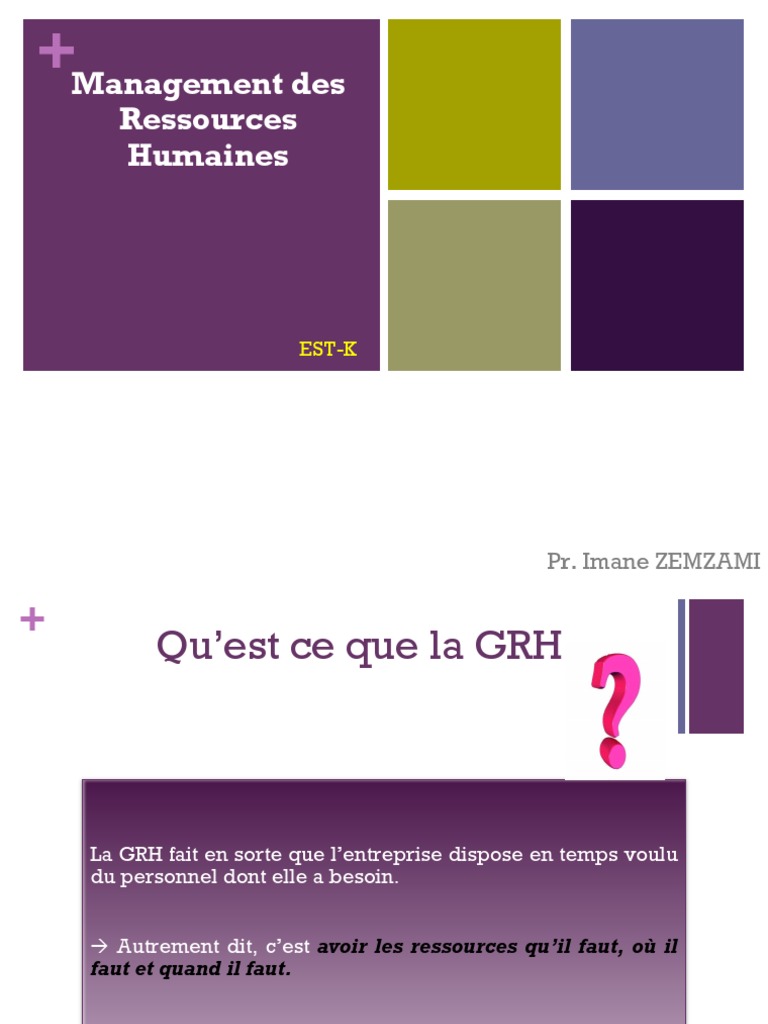 Guide Pratique de la GRH | PDF | Gestion des ressources humaines ...