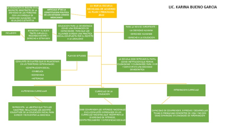 Mapa Conceptual de La Nem | PDF | Plan de estudios | Democracia