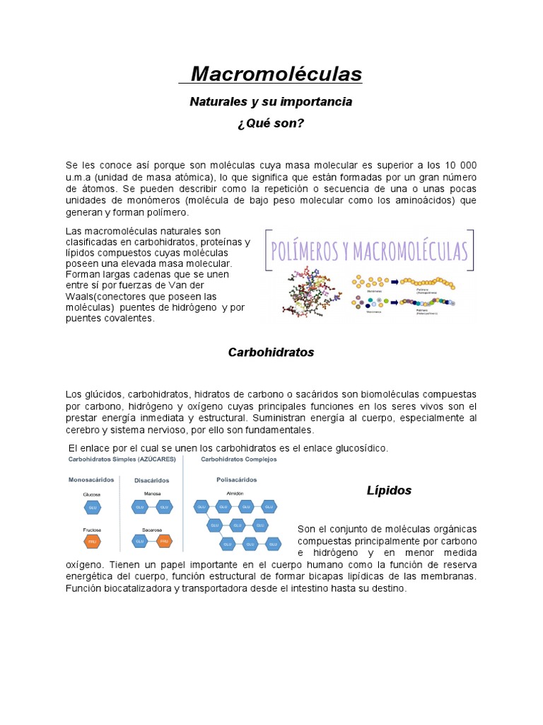 Macromoléculas | PDF | Carbohidratos | Polímeros