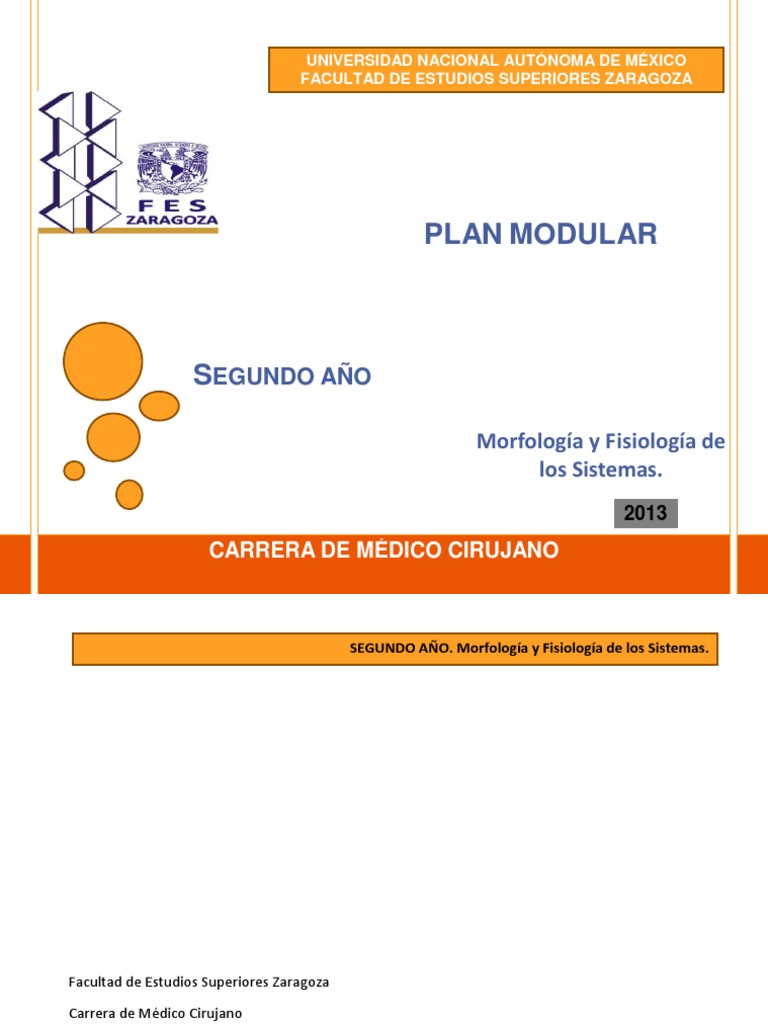 Morfo | PDF | Anatomía | Enseñando