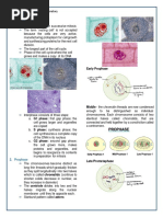 Intro Activity 1 Biomolecule Concept Map | PDF