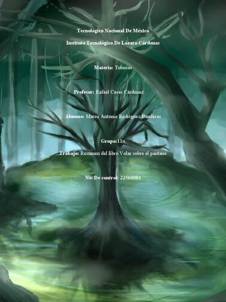 Volar Sobre El Pantano | PDF | Alma