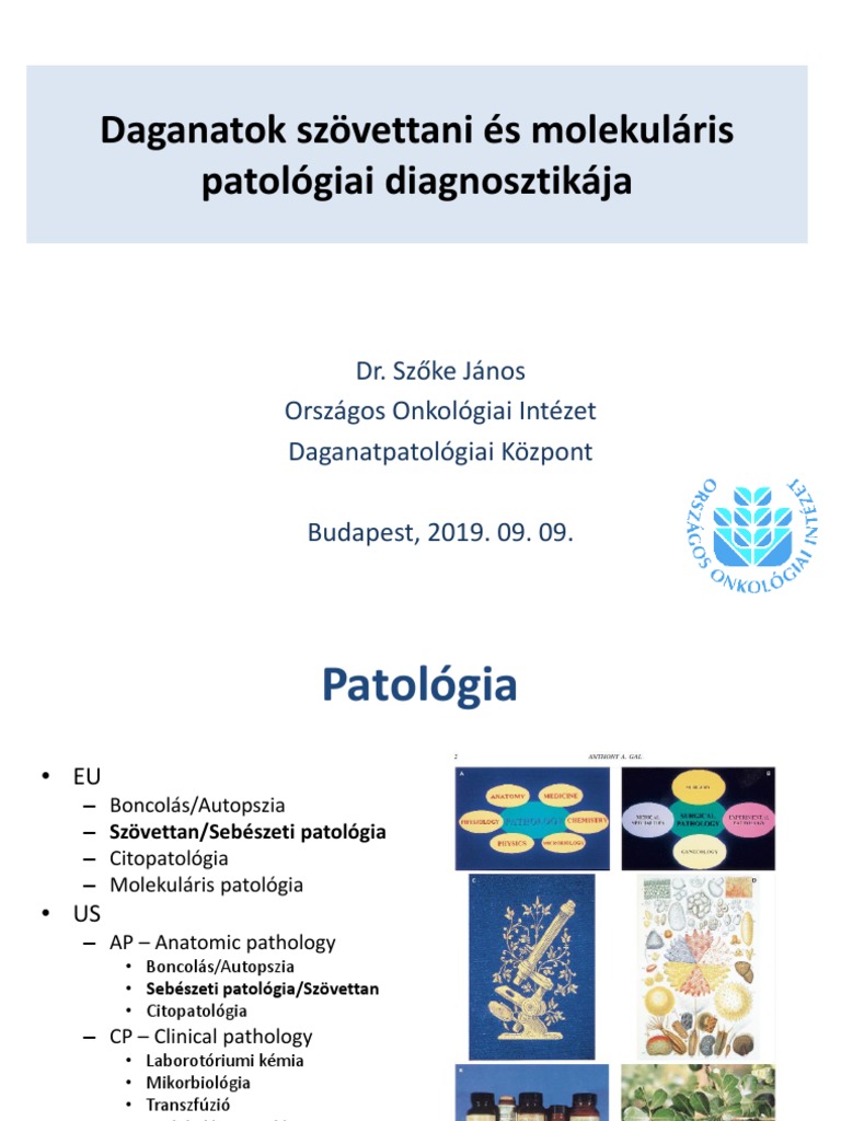 Daganatok Szövettani És Molekuláris Patológiai Diagnosztikája | PDF