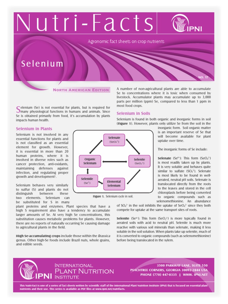 Selenium - NutriFacts | PDF | Selenium | Soil