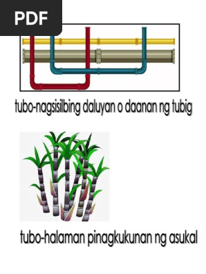 Tubo Asukal Homonyms Tagalog | PDF