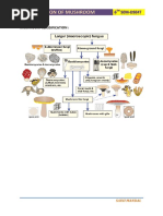 Que Hay # 3 - Workbook | PDF