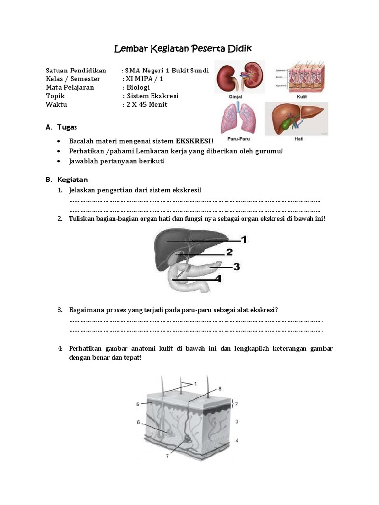 LKPD Sistem Ekskresi | PDF