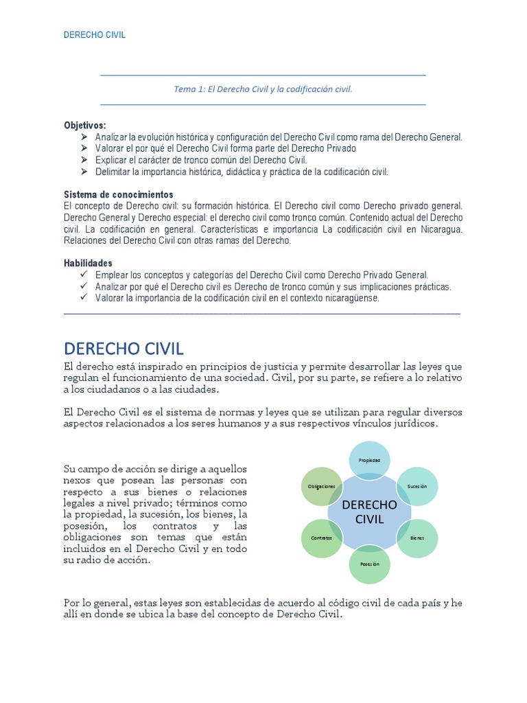 Derecho Civil - Introducción | PDF | Derecho Civil (Common Law) | Propiedad