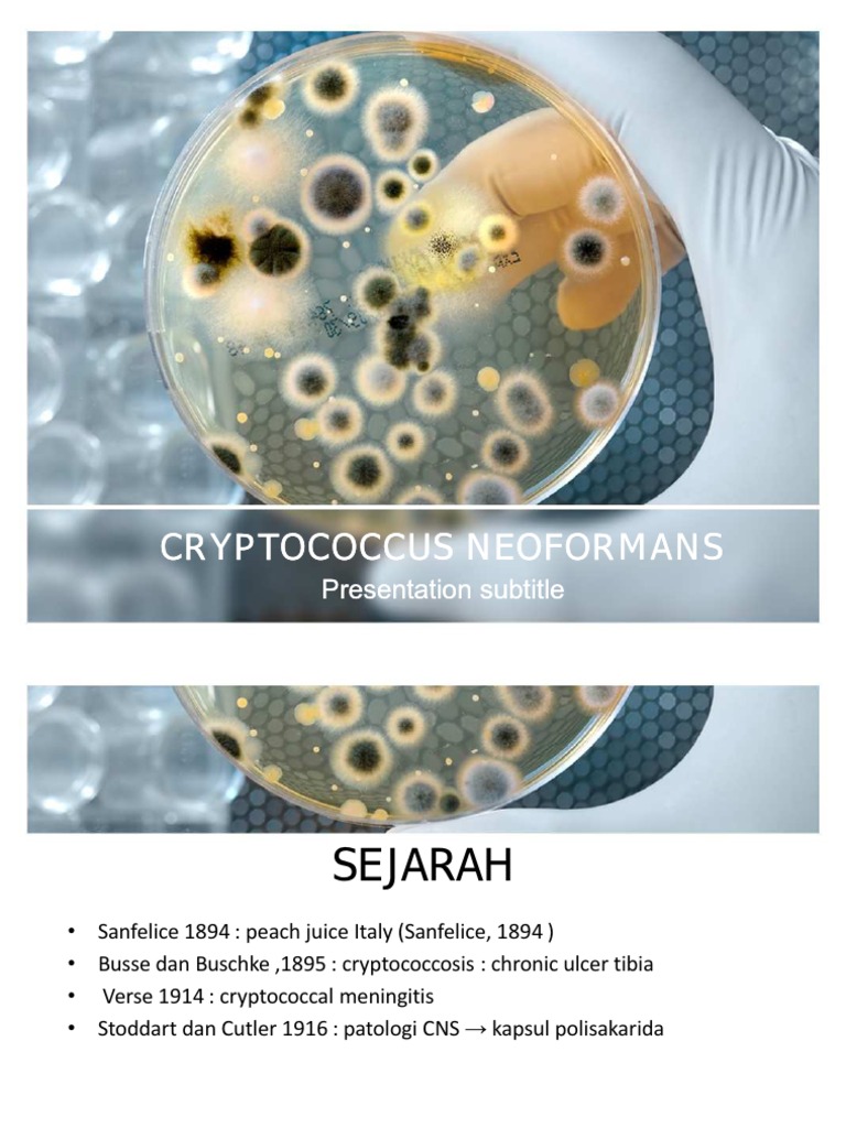 Cryptococcus Neoformans | PDF | Fungus | Immunology