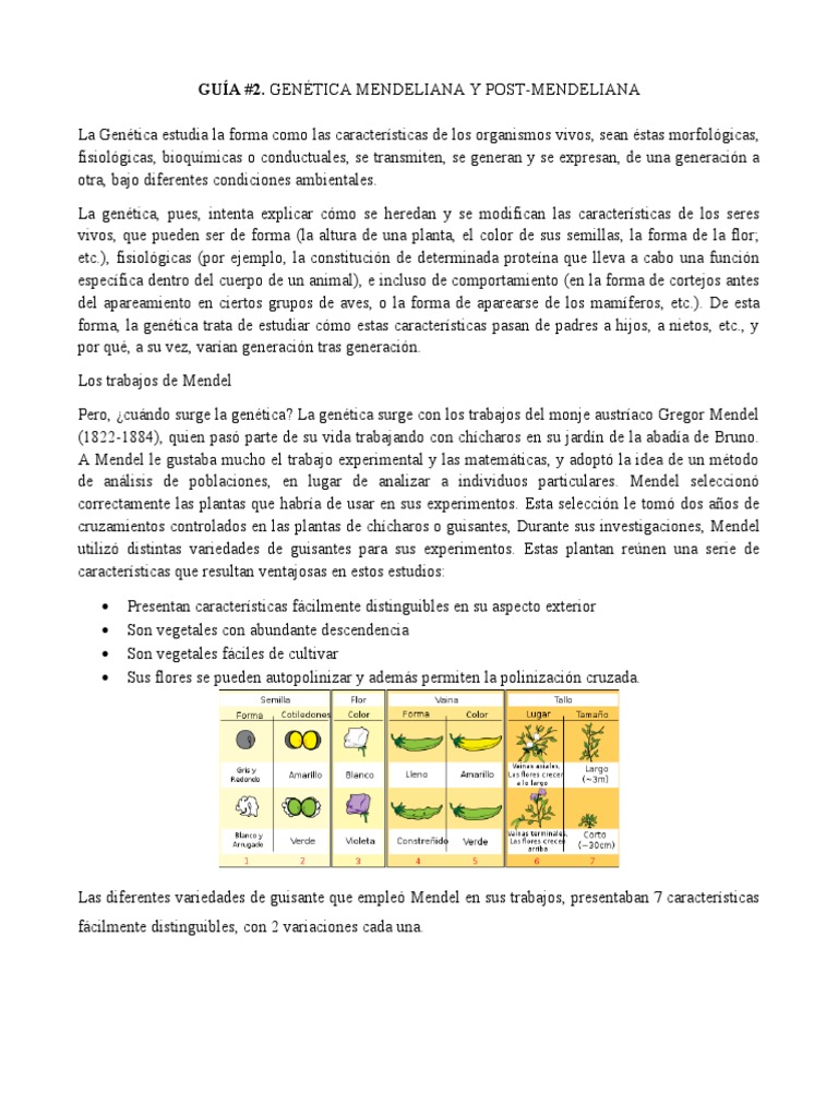 Leyes de Mendel en Genética Mendeliana | PDF | Dominancia (Genética ...
