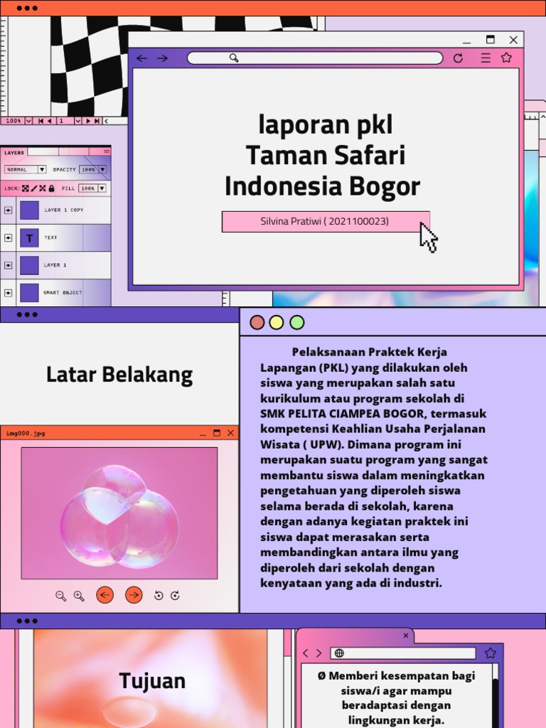 Laporan Tsi Silvina | PDF