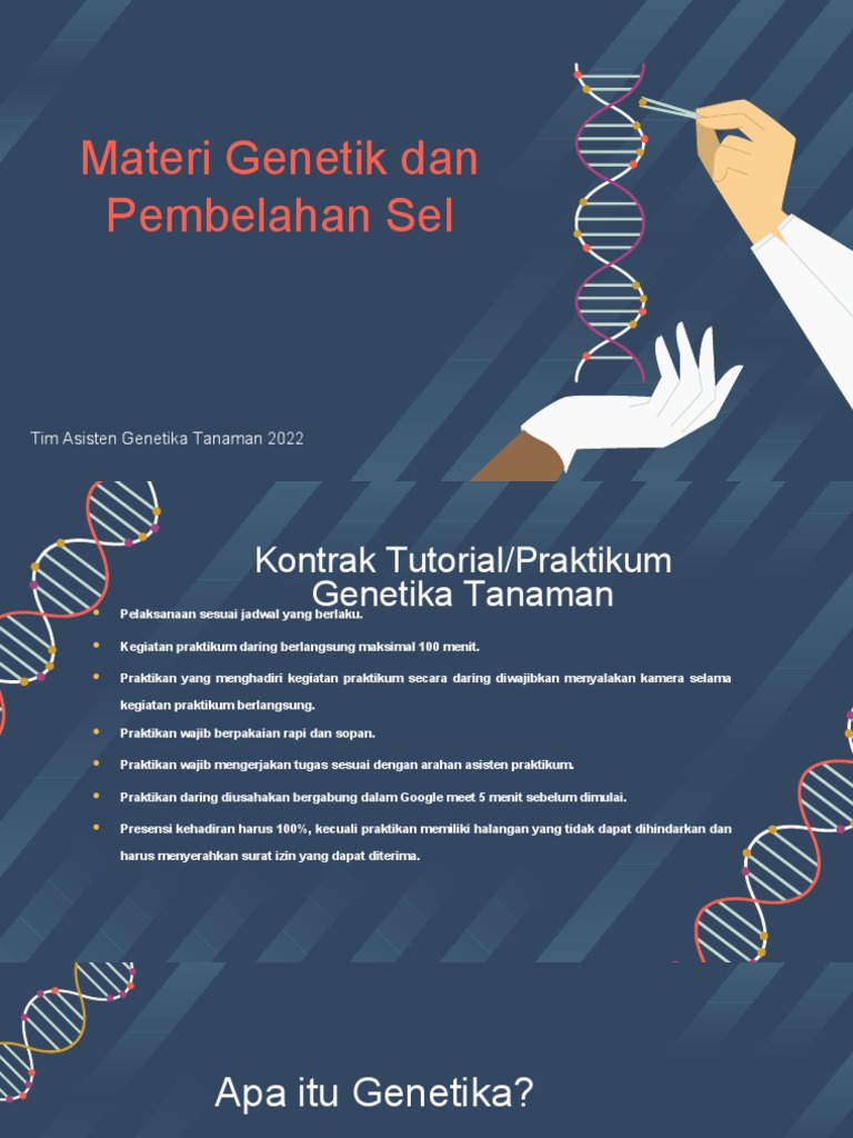 Gentan Menggila | PDF