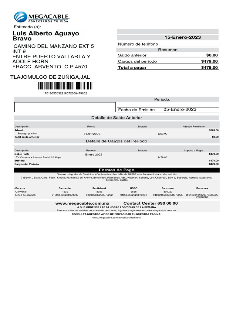 Recibo | PDF | Empresas | México