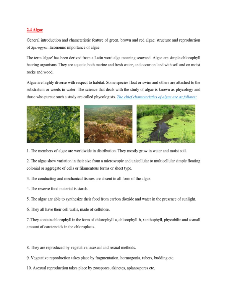 Algae Module | PDF | Algae | Organisms