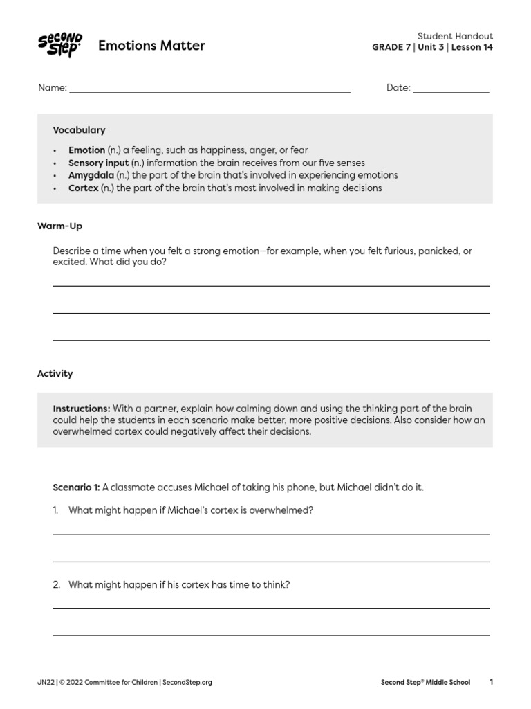 Second Step - Lesson 14 | Download Free PDF | Emotions | Brain