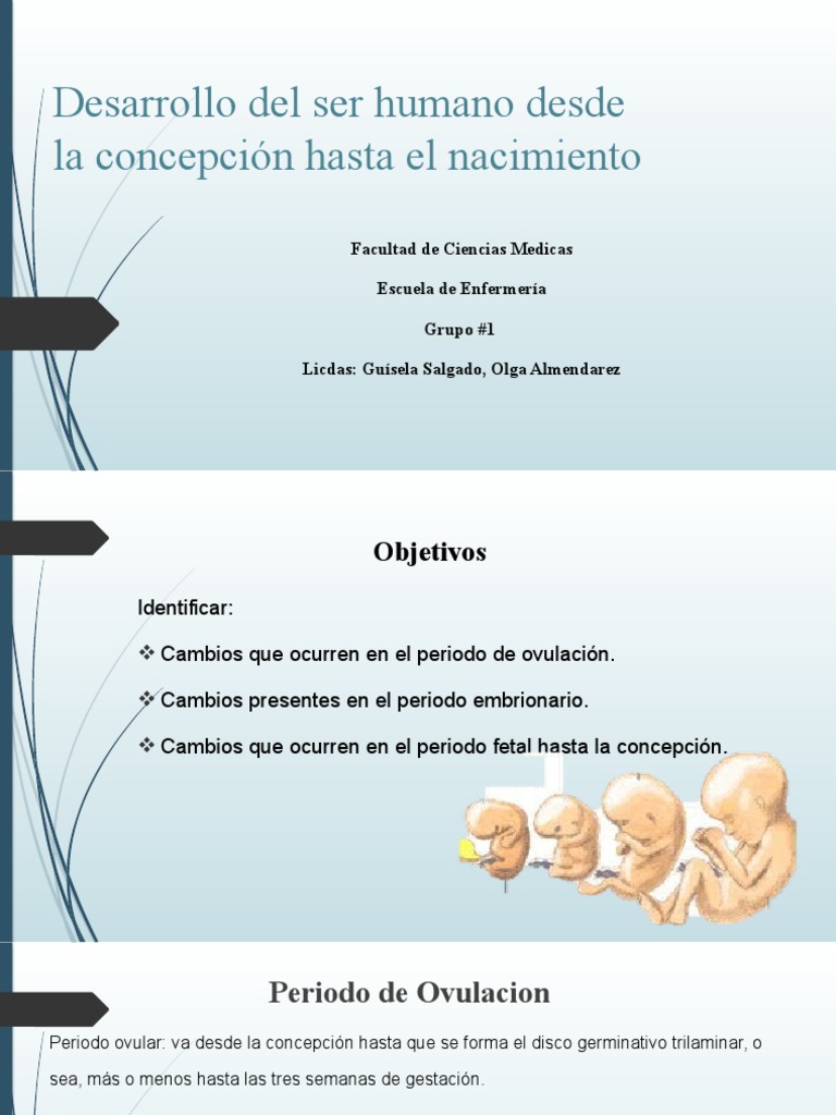 Desarrollo Embrionario Fetal y Placentario - PPTX Filename UTF-8''Desarrollo Embrionario Fetal y ...