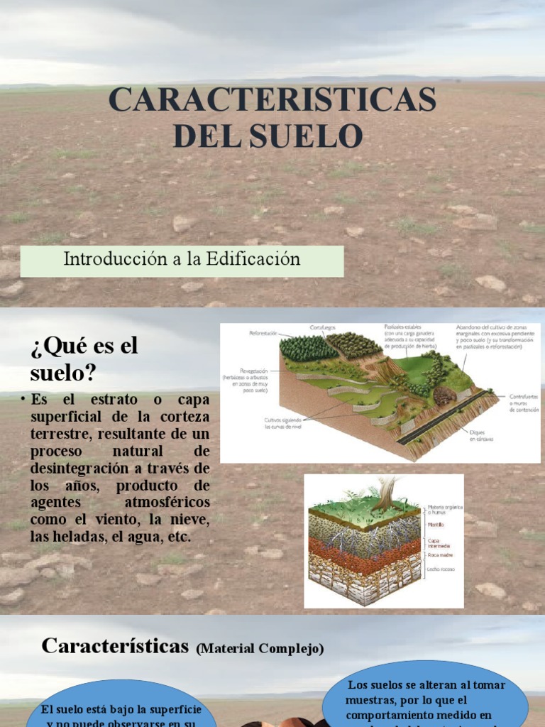 Caracteristicas Del Suelo | PDF | Suelo | Roca (geología)