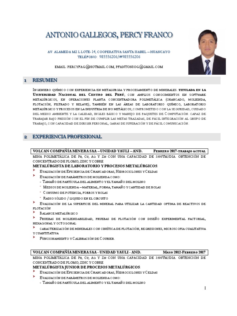 CV Percy Antonio | PDF | Metalurgia | Cobre