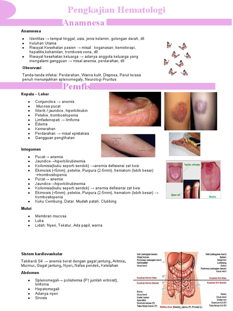 Resume Hematologi KMB | PDF
