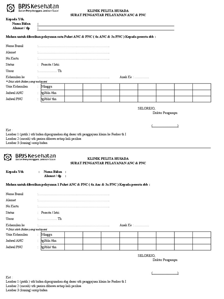 Form Klaim Anc PNC | PDF