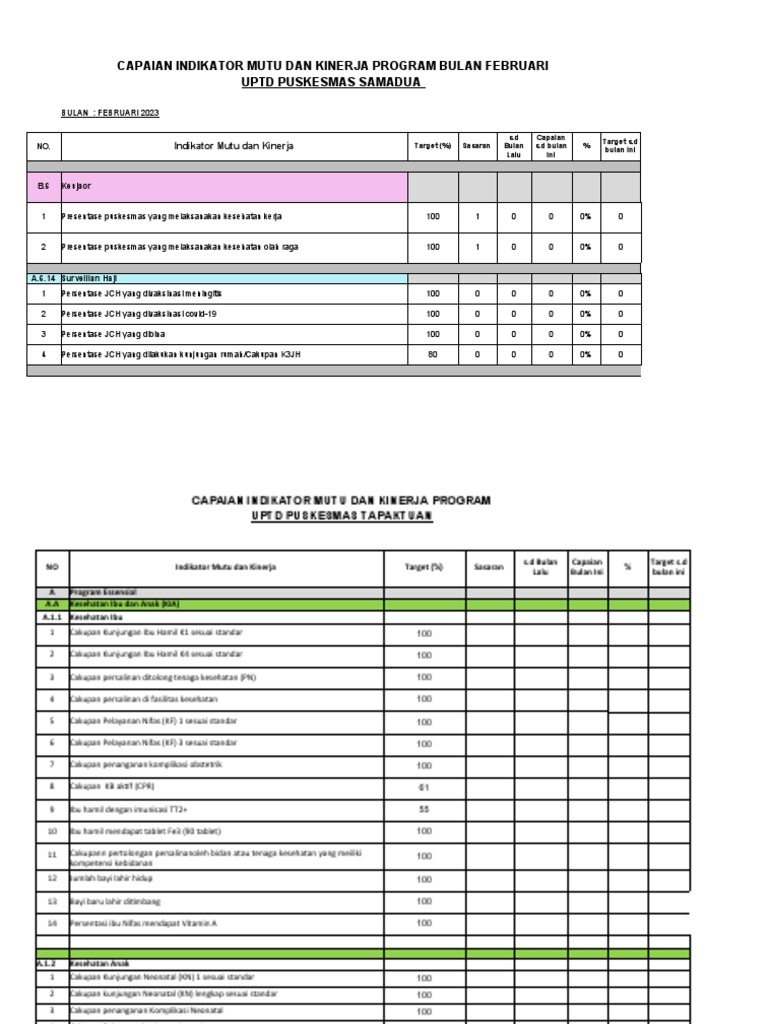 Capaian Indikator Bulanan | PDF