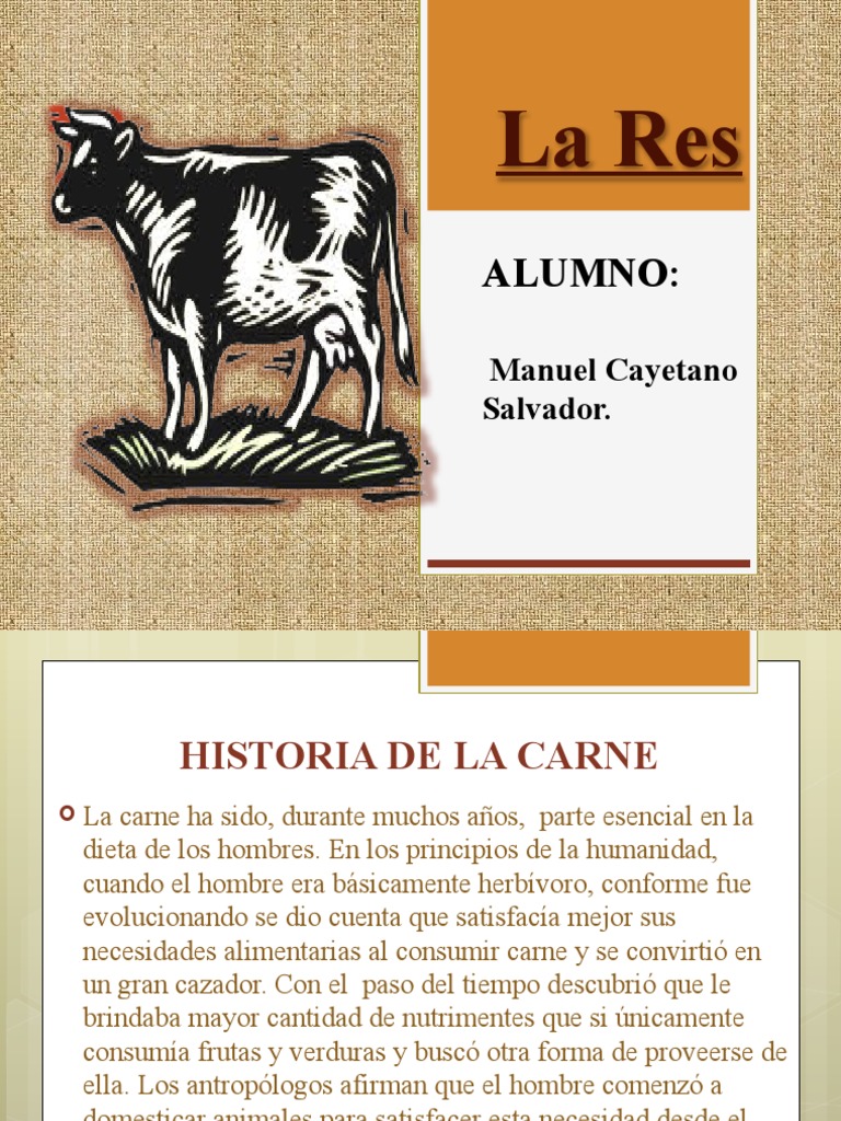 La Res | Descargar gratis PDF | Carne de vaca | Carne