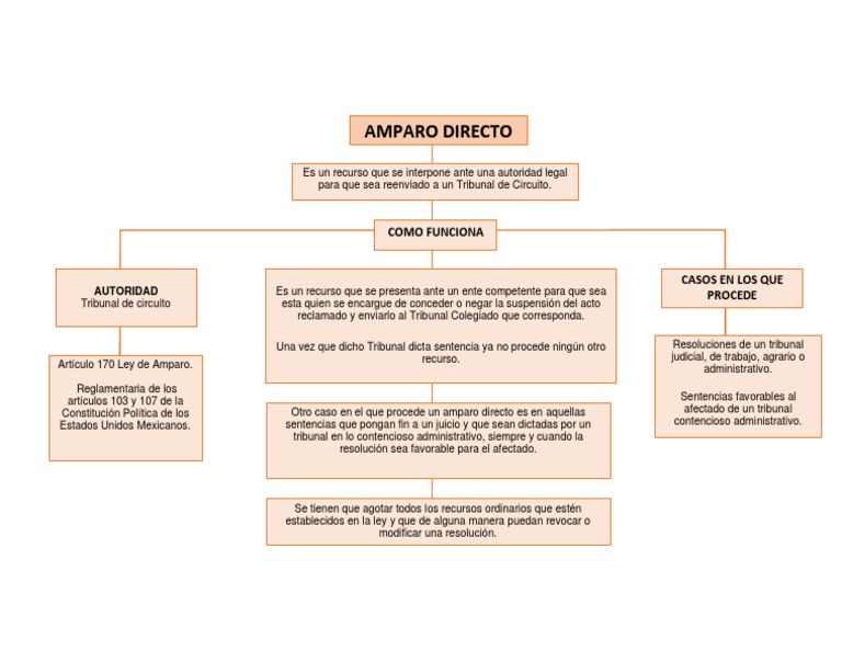AMPARO Directo | PDF