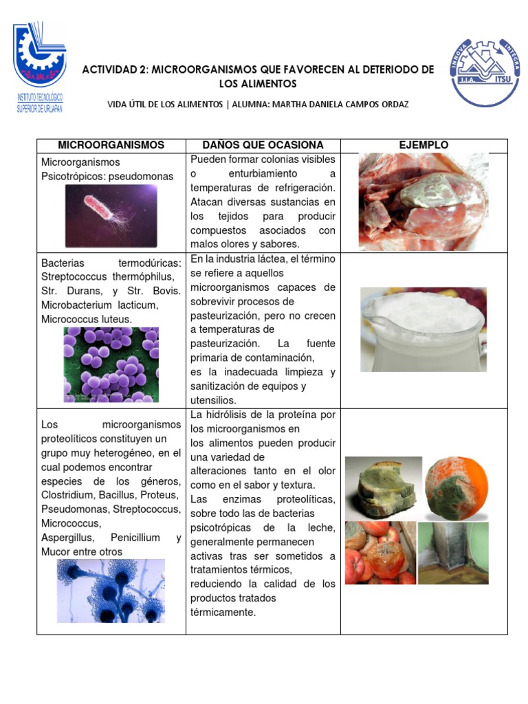 ACTIVIDAD 2 - Vida Util | PDF | Alimentos | Leche