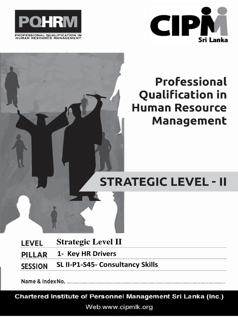 Session 45 Pillar 01 Consultancy Skills | PDF | Consultant | Human Resources