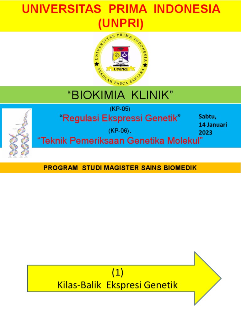 HO 03 Regulasi Eksp Pemeriksaan 14jan23 | PDF