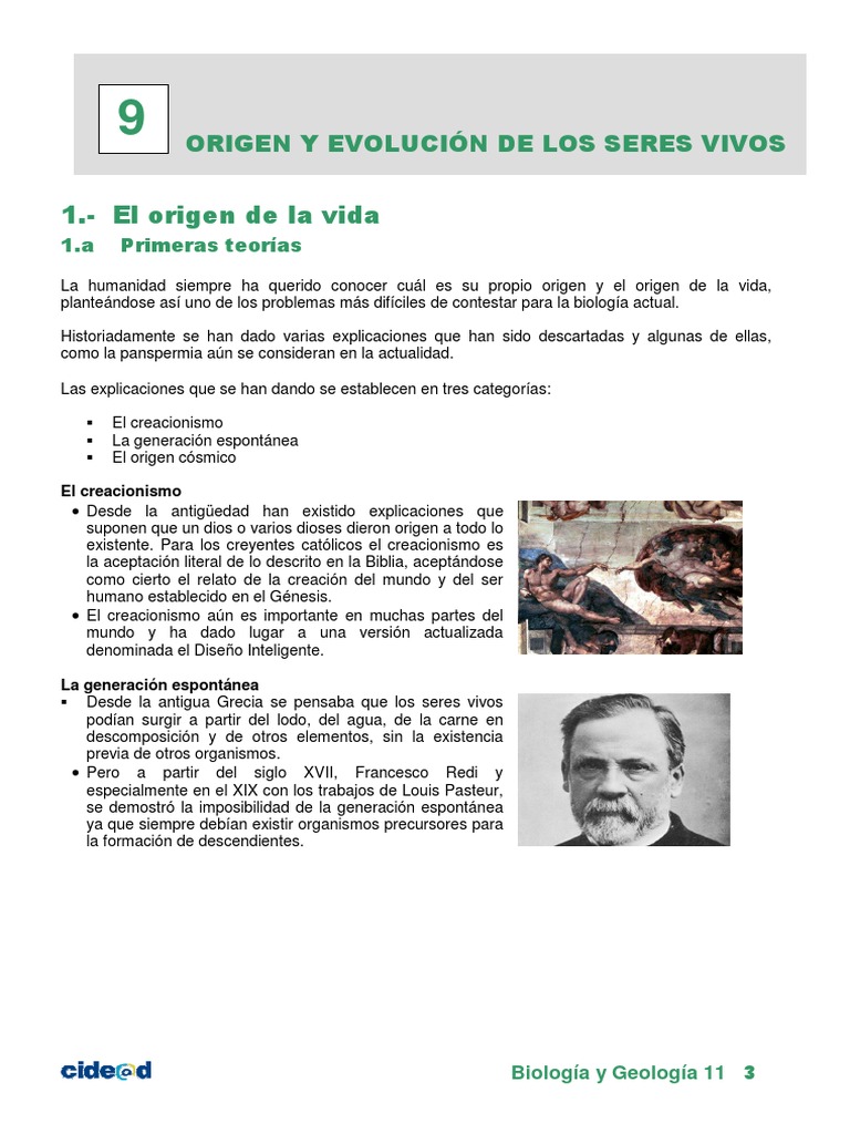 Taller de Biologia 8 | PDF | Evolución | Abiogénesis