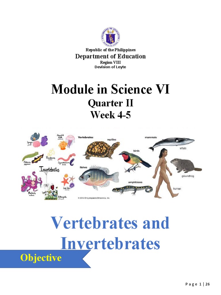 Science Vi-Quarter 2 Module (Week 4-5) | PDF | Invertebrate | Amphibian Science Vi-Quarter 2 Module (Week 4-5) | PDF | Invertebrate | Amphibian