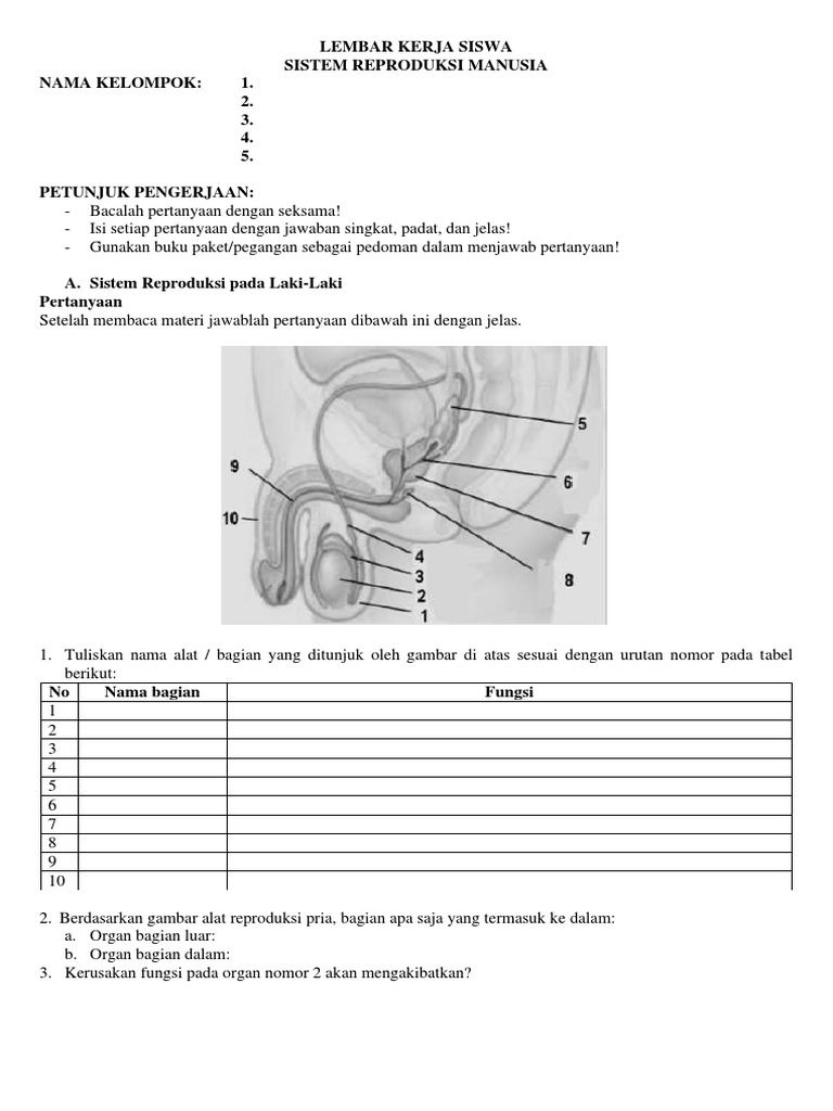 LKPD Reproduksi Kelas IX | PDF