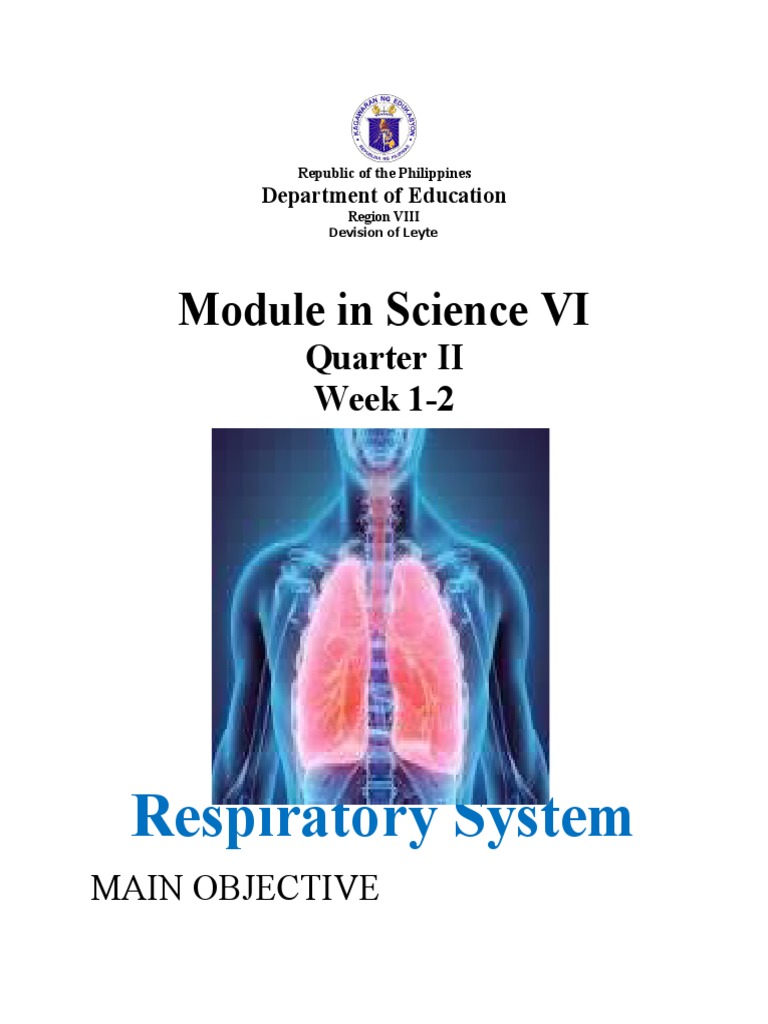 Science Vi-Quarter 2 Module (Week 1-2 Respiratory System) | PDF | Respiratory Tract | Breathing