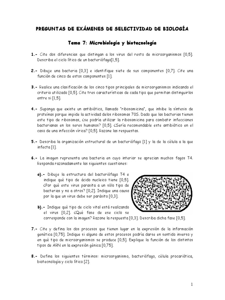 Micro Biolog I A | PDF | Bacteriófago | Las bacterias