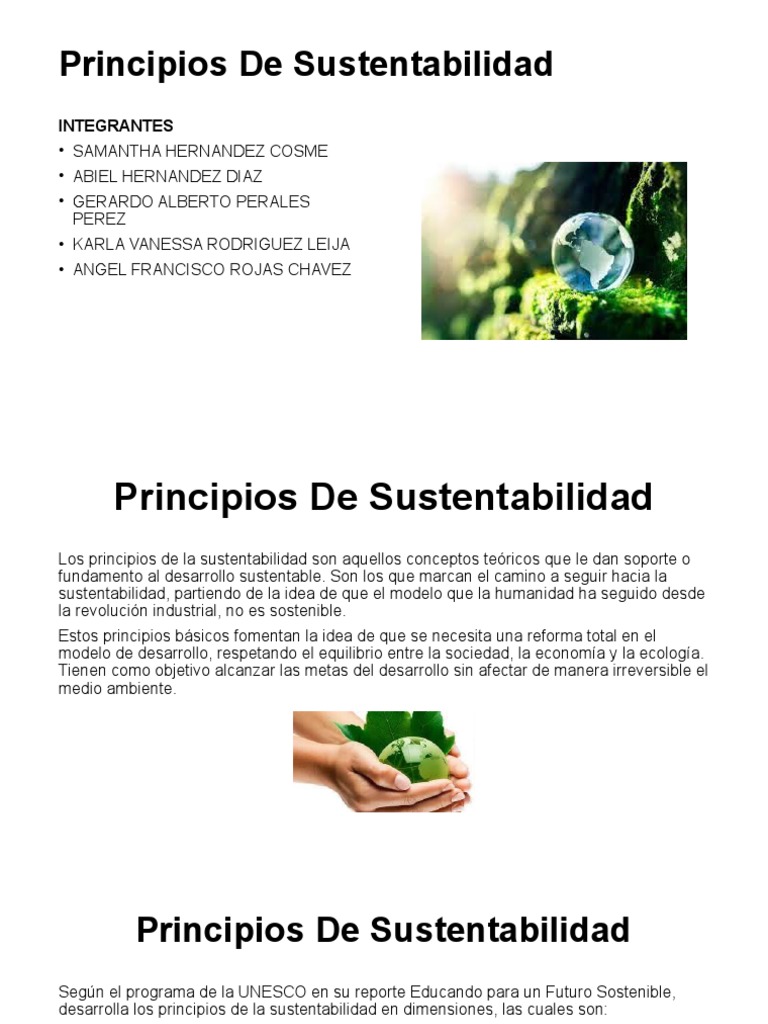 Principios de Sustentabilidad | Descargar gratis PDF | Sustentabilidad | Desarrollo sostenible