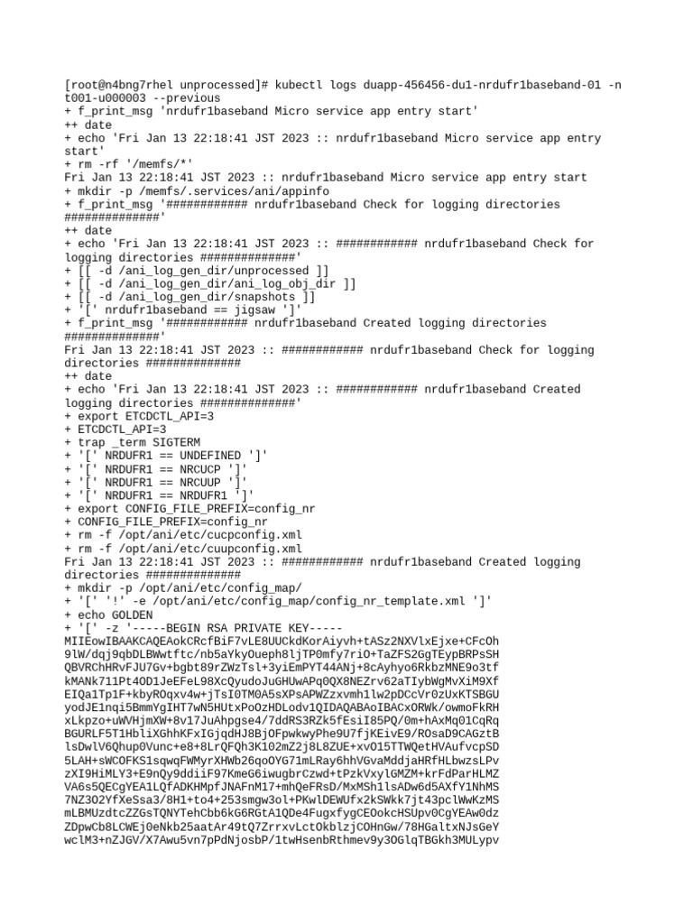 Logging and Configuration Details for nrdufr1baseband Microservice ...