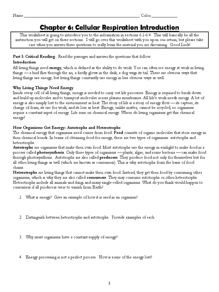 Cellular Respiration Introduction Worksheet | PDF | Cellular ...