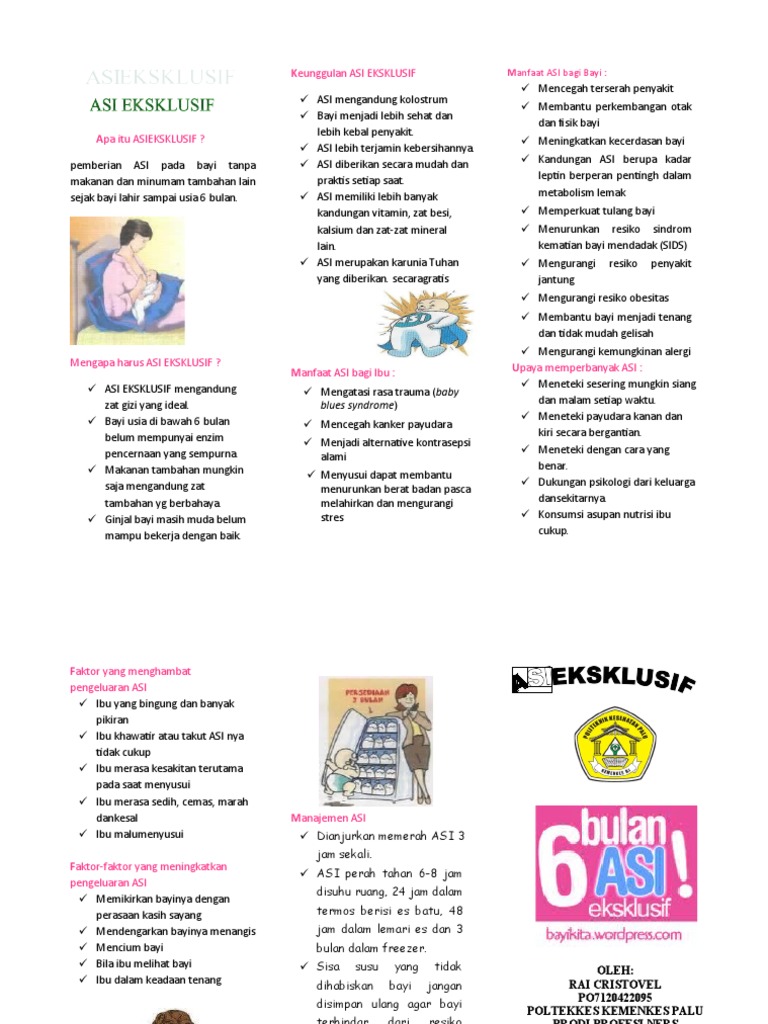 Leaflet Asi Ekslusif | PDF