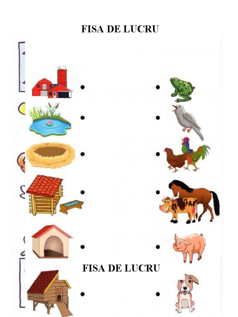 Fise Animale | PDF
