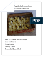 Agricultural Science Broiler Production Sba Sample | PDF | Wellness